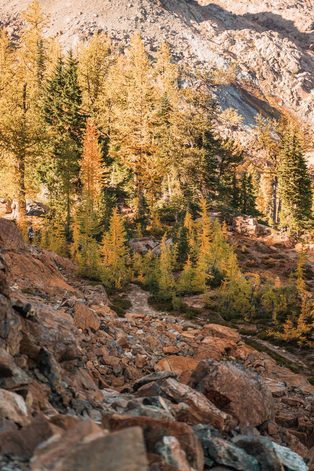 Lake Ingalls – Larch Madness – Hike Washington | Style & Senses