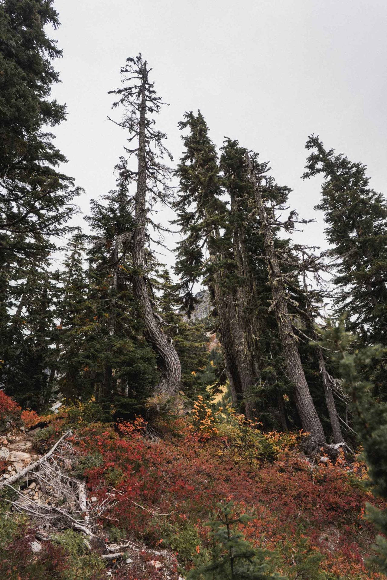 Chain Lakes Loop – Artist Point, Mt. Baker – Hike Washington | Style ...