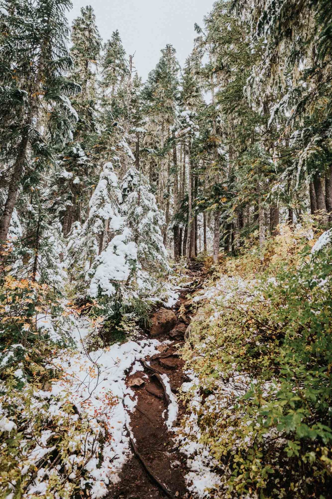 Rachel Lake – Hike Washington | Style & Senses