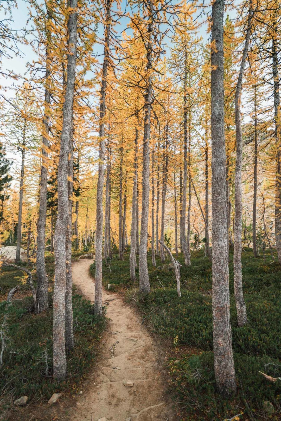 Lake Ingalls – Larch Madness – Hike Washington | Style & Senses