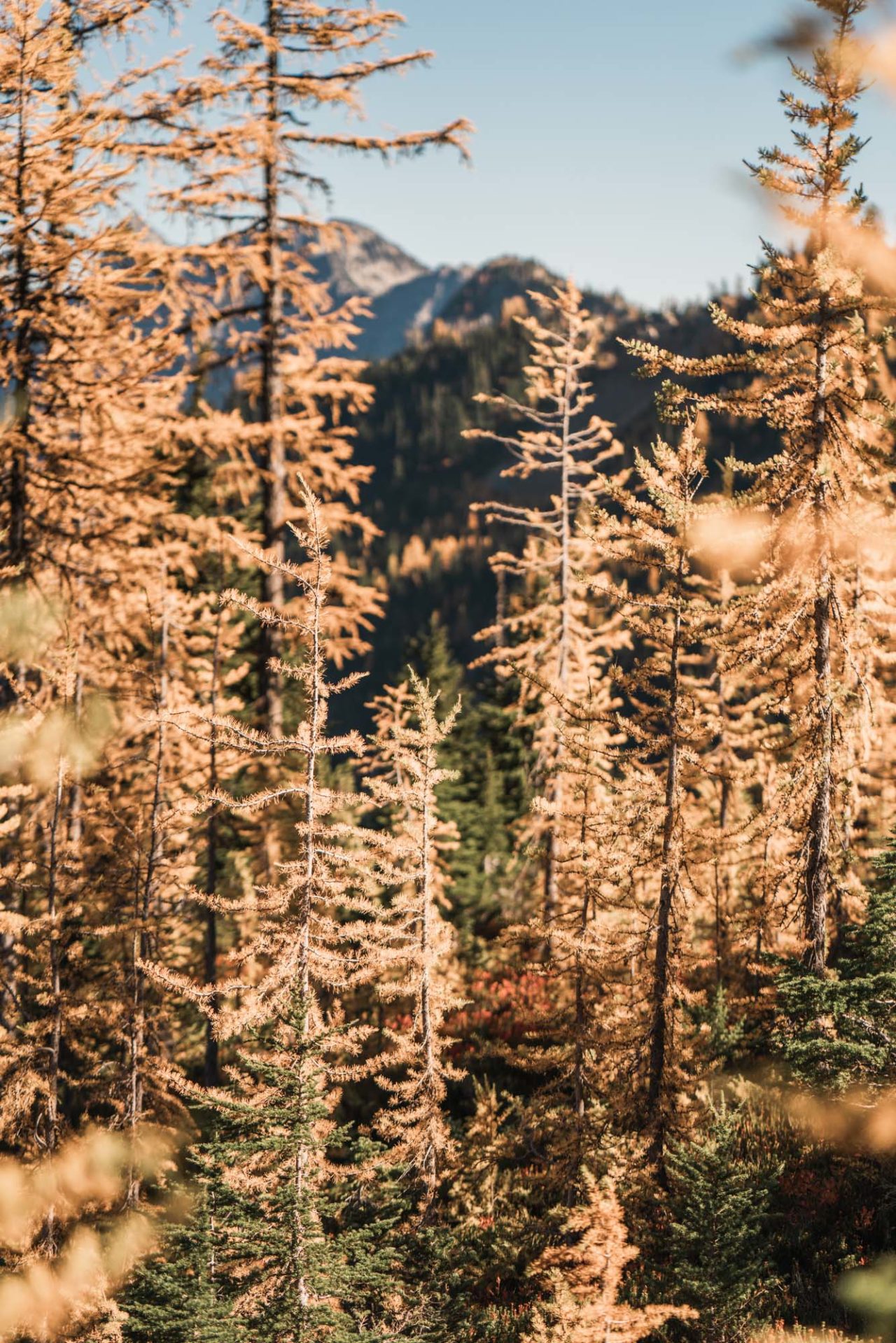 Maple Pass Loop – Hike Washington | Style & Senses