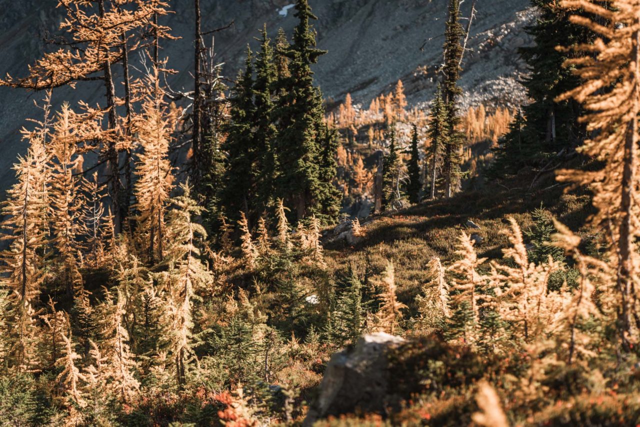 Maple Pass Loop – Hike Washington | Style & Senses