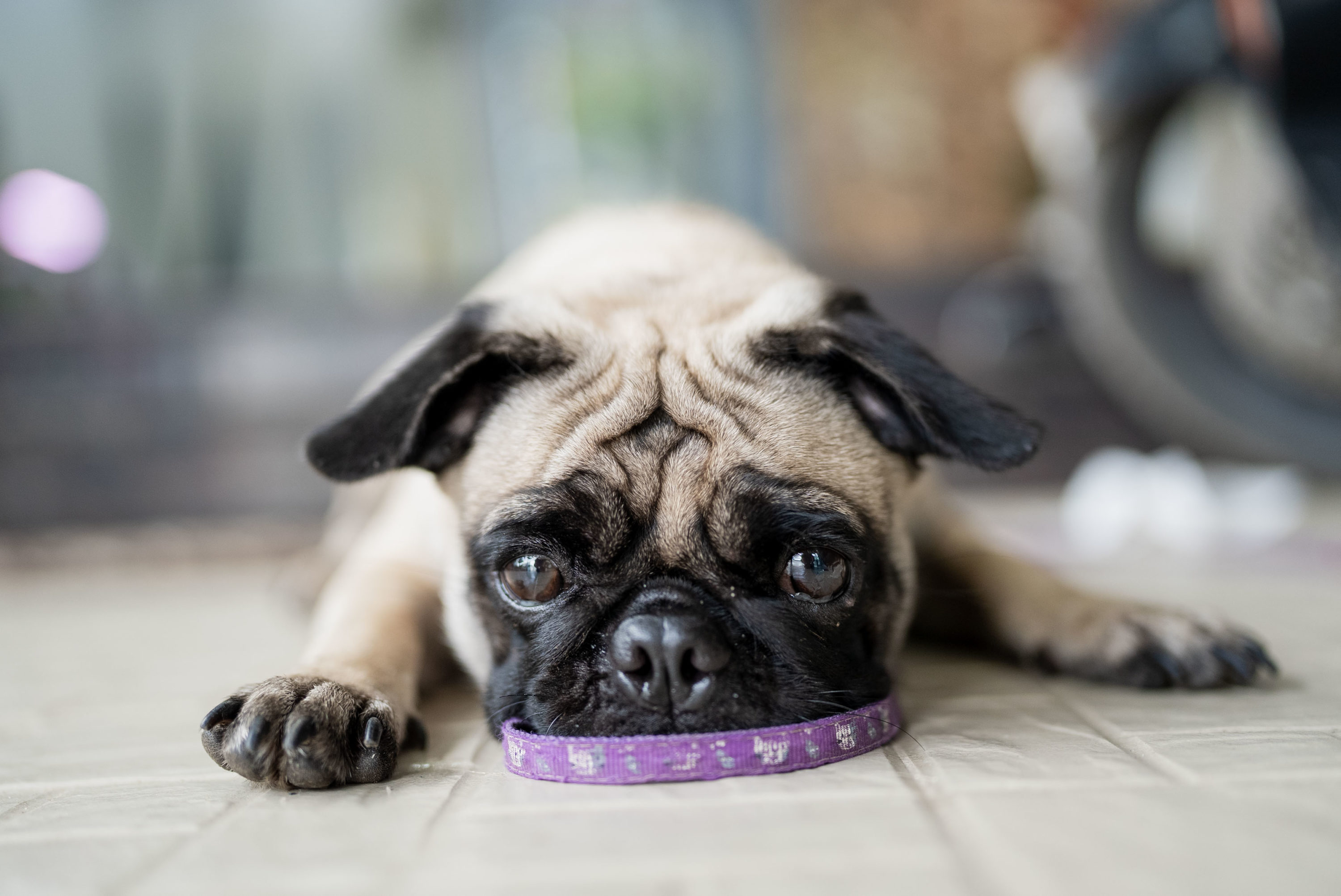 Vietnam Travel Guide – 10 Things to Know Before Visiting | Style & Senses